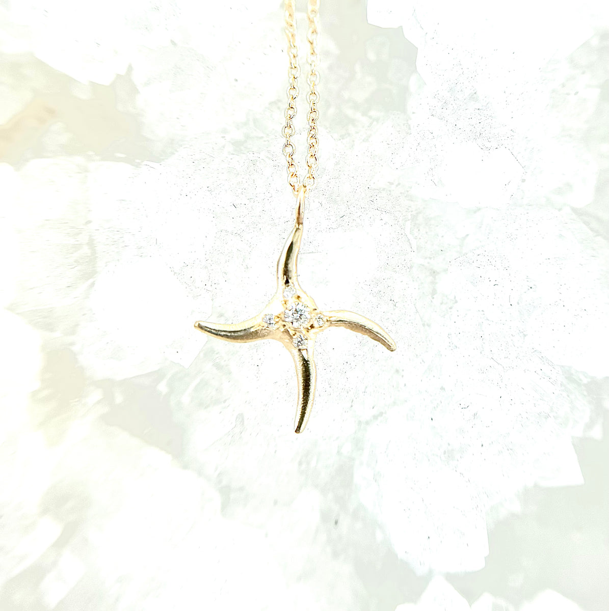 Delicate Starfish Necklace – Robin Haley Jewelry