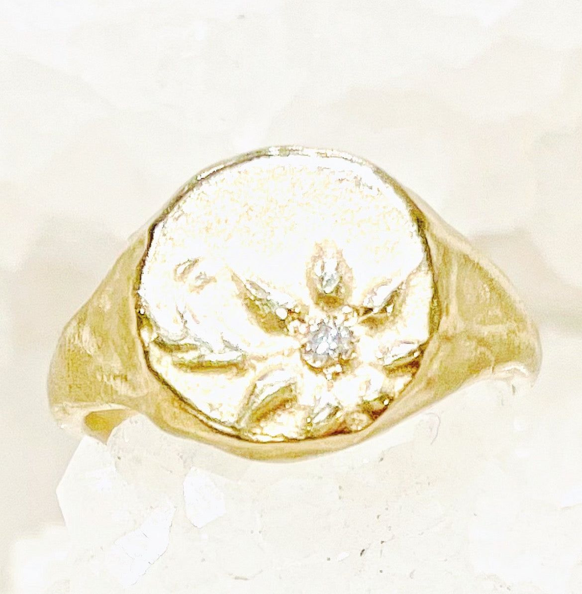 Halley's Comet Artifact Signet Ring – Robin Haley Jewelry